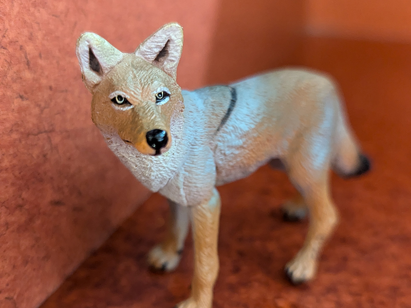 The Sacred Datura – One Year Later – J. Evan Ramos